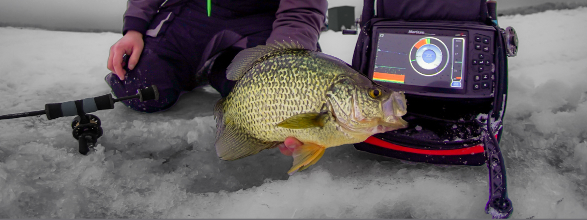 Basin Crappies: Utilizing your Fish Finder - Marcum Tech