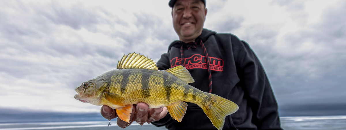 Up Your Jumbo Perch Game with Underwater Cameras – Marcum Tech
