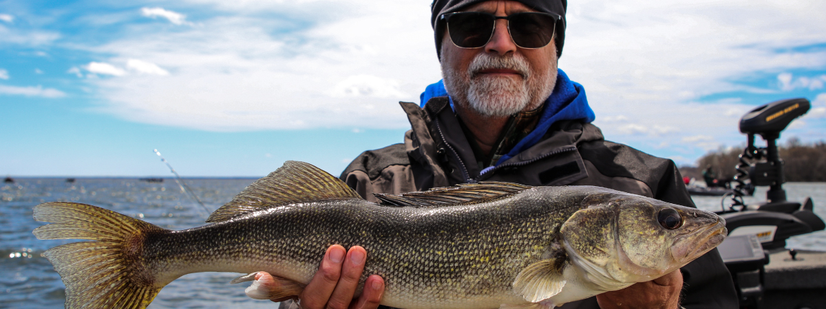 Walleye Warm Water Temperature Transitions - Marcum Tech