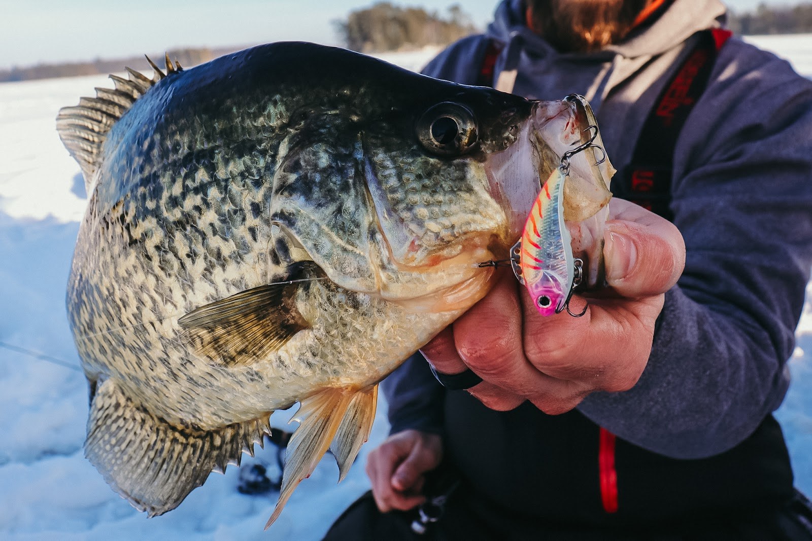 Capture the Moment – Taking Better Fish Pictures – Marcum Tech