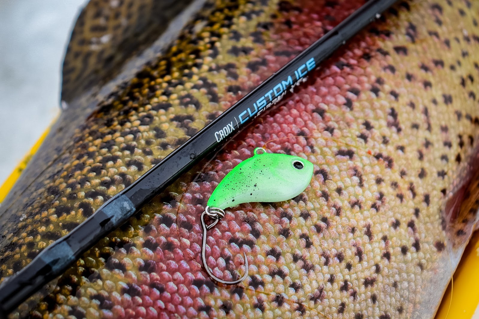 Capture the Moment – Taking Better Fish Pictures – Marcum Tech